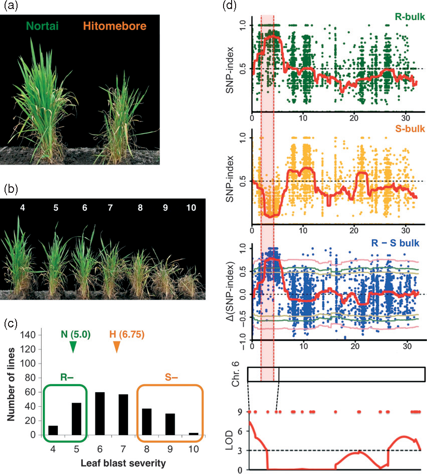 江苏英德尔生物技术有限公司